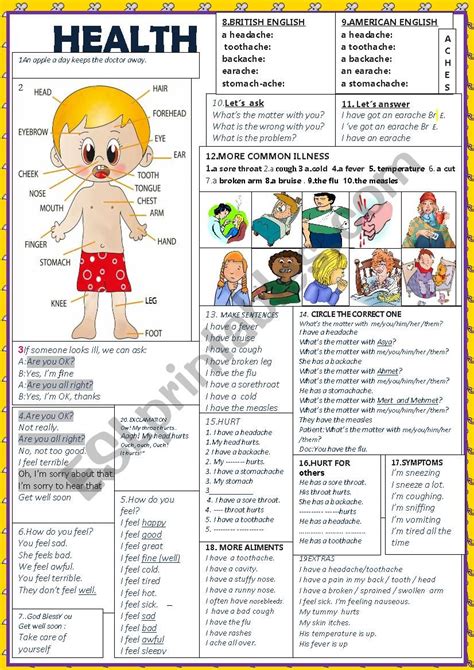 Middle School Health Class Worksheets Printable Online