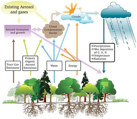 Hydrologic Cycle Poster Flickr Photo Sharing