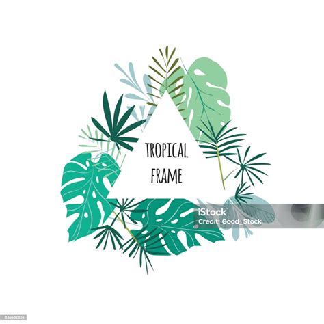 熱帶的框架與地方為文本範本向量圖中白色襯底上分離向量圖形及更多卡圖片 卡 厚紙皮 園藝 Istock