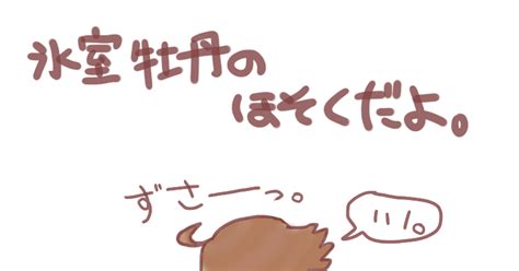 ぴくos】補足 【ぴくos】氷室 牡丹【補足】 みにゃび。のマンガ Pixiv