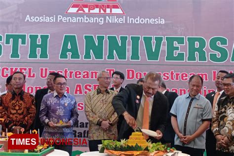 Apni Sampaikan Aspirasi Untuk Industri Nikel Tanah Air Times Indonesia