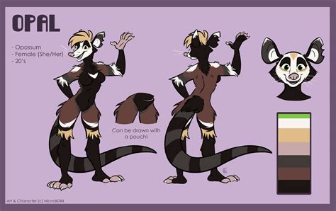 Opal The Opossum Reference Sheet By Nicnako44 On Deviantart