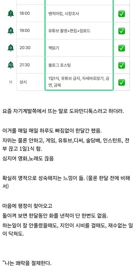 블라인드 직장인 취미생활 커뮤 Sns 유튜브 넷플 배민ㄴㄴ
