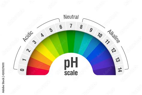 Ph Value Scale Chart For Acid And Alkaline Solutions Acid Base Balance