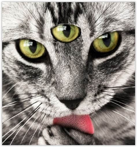 Datatree Find Path Length C Grasshopper Mcneel Forum