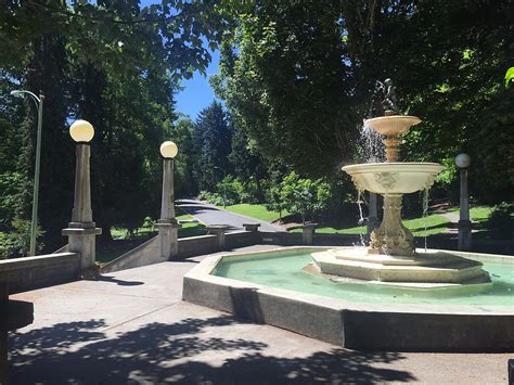 Cascade Girl Organization Oregon Honey Festival Flower Sex And