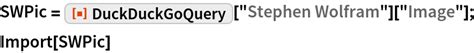 DuckDuckGoQuery Wolfram Function Repository
