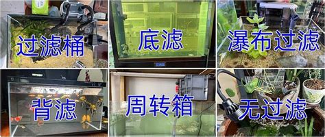各个尺寸的鱼缸该如何选择合适的过滤系统，总有适合你的滤材配件什么值得买