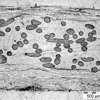 Microstructure Of Material PP Download Scientific Diagram