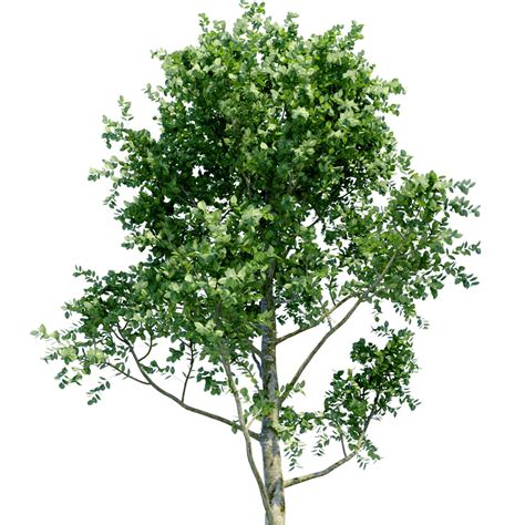 Tree Planter Grate Set 3d Model 19 Max Fbx C4d Free3d
