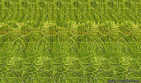 Cross Eyed Stereogram Gallery Princess F Cross Eyed Stereogram