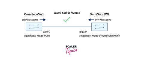 Dynamic Trunking Protocol Scaler Blog