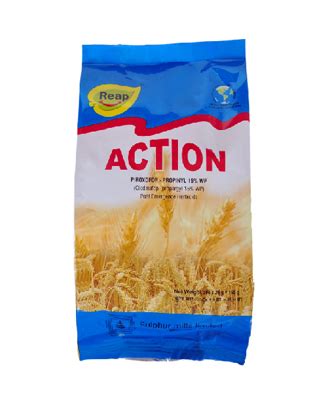 Action SML Limited