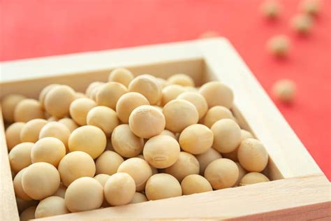 茨城県民に直撃！「納豆どうやって食べてるの？」「何回かき混ぜる？」 テレビ東京・bsテレ東の読んで見て感じるメディア テレ東プラス