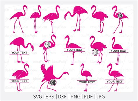Pink Flamingo Cut File Flamingo Monogram Frame Flamingo Svg Flamingo