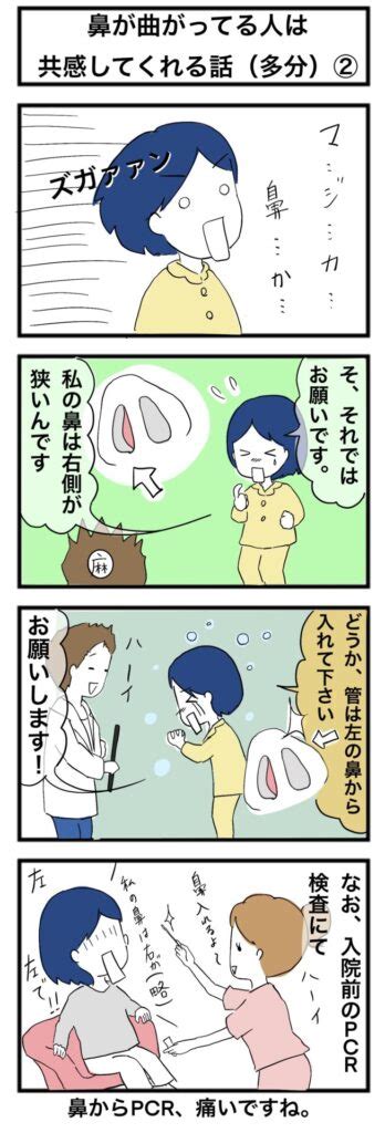 【親知らず抜歯】全身麻酔をする上で一番気になっていた事 徒然なるのどかの日常