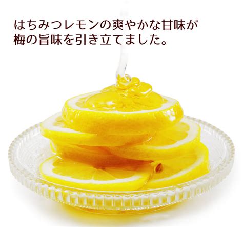 紀州南高梅 はちみつレモン梅380g｜梅干し・紀州 梅干 の通販は梅翁園．（ばいおうえん）