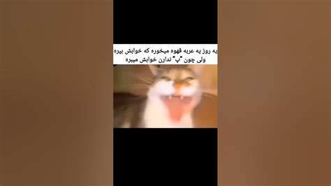 حیرت انگیزه🗿 فان خندار خنده Funny میم اینستاگرام خندهدار Youtube