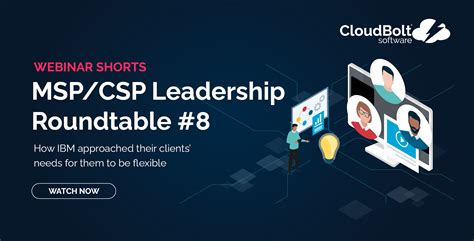 roi msp final