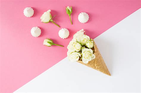 핑크색 배경에 하얀 장미와 머랭이있는 아이스크림 콘 상단 보기 공간을 복사합니다 0명에 대한 스톡 사진 및 기타 이미지 0명 꽃 꽃의 구조 꽃 식물 Istock