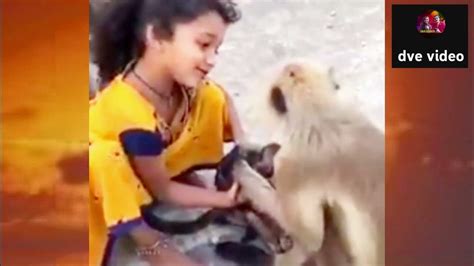 අවසානයේදී සිදුවන දේ හිතාගන්න වත් බෑ Youtube