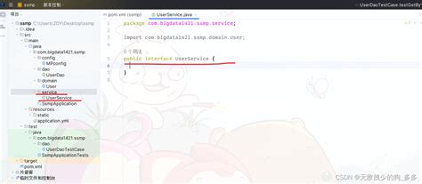 Ssmp整合案例第三步 业务层service开发及基于mybatis的接口功能拓展ssm整合开发接口 Csdn博客