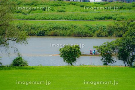 矢切の渡し松戸市矢切の写真素材 211070916 イメージマート
