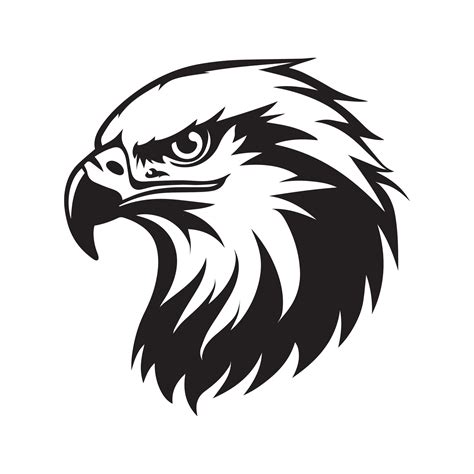 Eagle Face Vector Illustration 35217108 Vector Art At Vecteezy