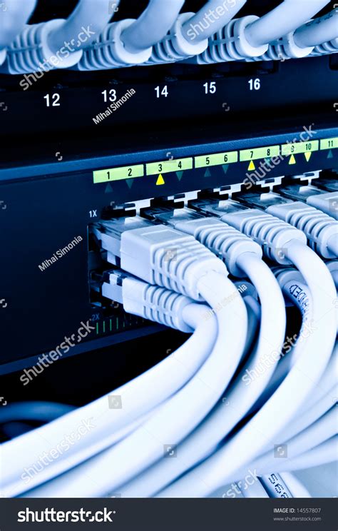 Network Cables Connected Switch Patchpanel Stock Photo 14557807 Shutterstock