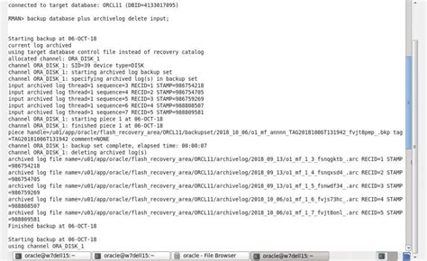 How To Take RMAN Backup Pkworlz
