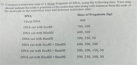 Solved Construct A Restriction Map Of A Linear Fragment Of