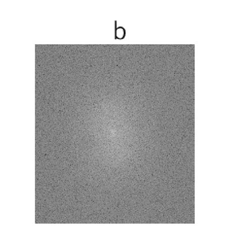 Magnitude Spectrum Of The Fourier Transform For Images Corresponding To