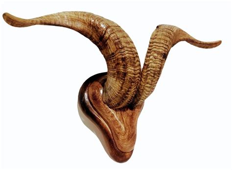 Antique Natural Wall Decorative Sheep Horns Pair At ₹ 2500 Piece In