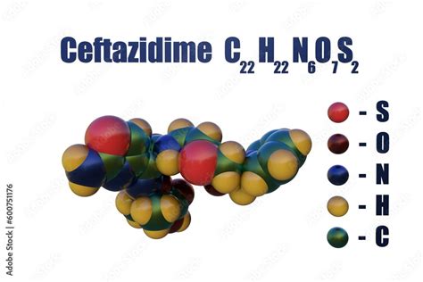Ceftazidime Broad Spectrum Third Generation Cephalosporin Antibiotic