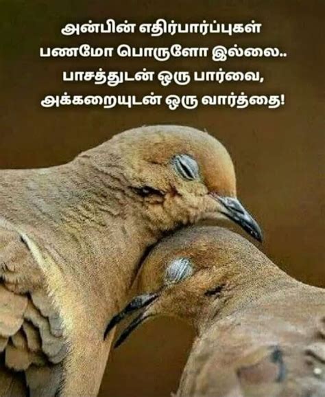 Pin By வெசுந்தரமூர்த்தி On புத்தர் போதனைகள் Good Thoughts Quotes