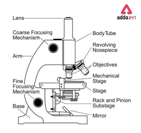 Simple Microscope Diagram Formula Definition Discoverd By