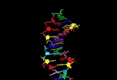 Eight Letter Genetic Code Hints At How Alien Life Might Evolve Research Chemistry World