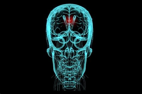Premium Photo 3d Medical Concept