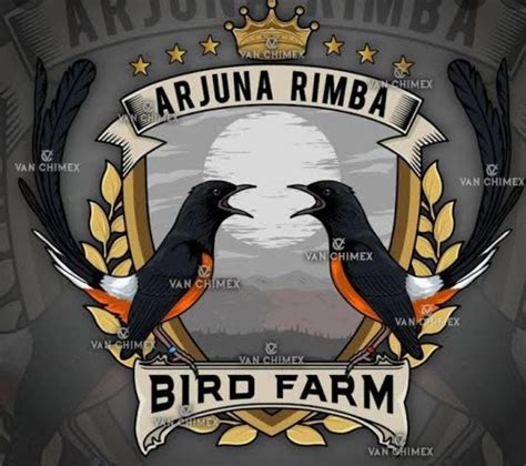 Pin Oleh Mustafid Di Burung Gambar Burung Ilustrasi Vektor Seni Burung