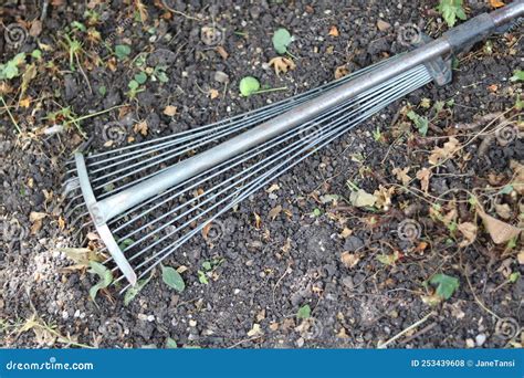 Silver Metal Garden Rake With Fine Tines Lying On The Ground Stock