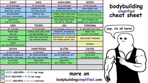 Cheat Sheet Pdf Anatomical Terms Of Motion Weight Training