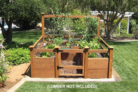 How To Grow Tomatoes In A Raised Bed Mom Foodie