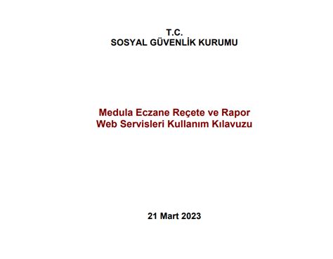 Sgk Medula Eczane Re Ete Ve Rapor Web Servisleri Kullan M K Lavuzu