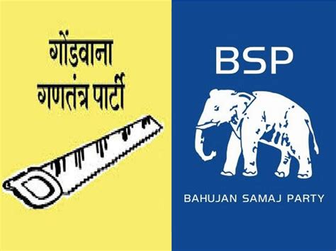 Mp Election Seats Alliance Update Mayawati Bsp Party Gondwana