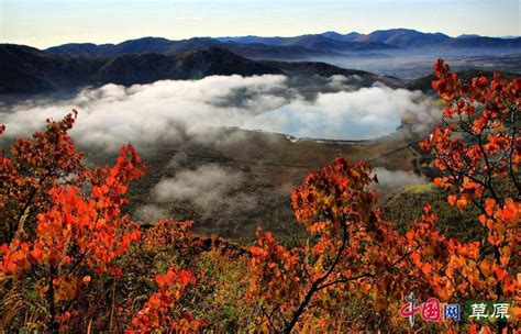 走進呼倫貝爾五彩的大自然山光水色 風景如畫 中國網草原頻道