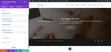 Divi Call to Action 모듈의 스타일을 지정하는 방법 예제 개 WPMAY