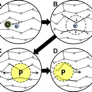 The Structure Of Polypyrrole Babe Information Is Known Download Scientific