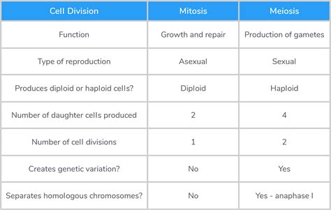 Mitosis Vs Meiosis Table