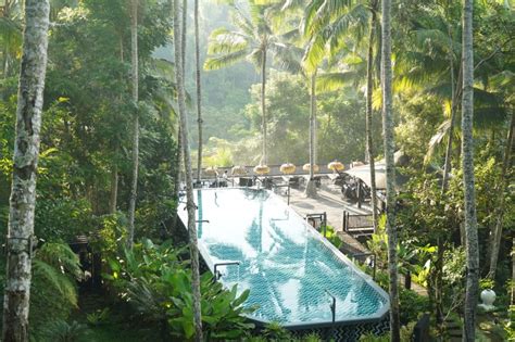 발리 신혼여행 풀빌라 카펠라 우붓 정글 글램핑 럭셔리 리조트 네이버 블로그