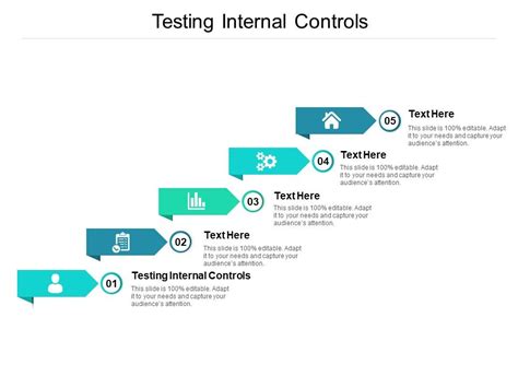Testing Internal Controls Ppt Powerpoint Presentation Gallery Outline Cpb